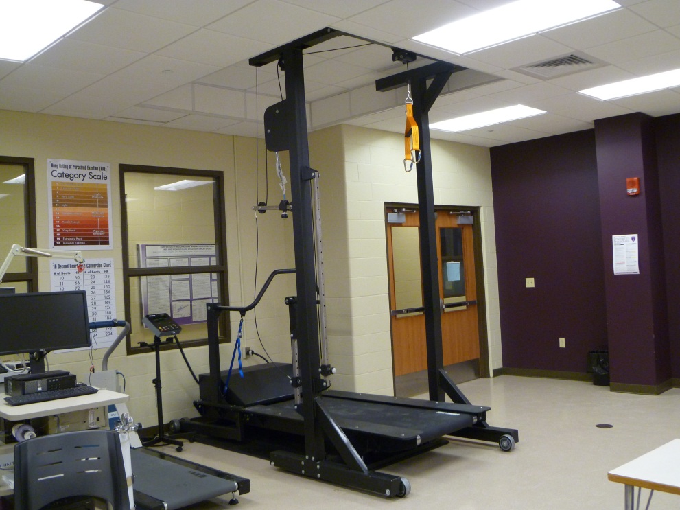 New High-Speed Treadmill – Health and Exercise Sciences